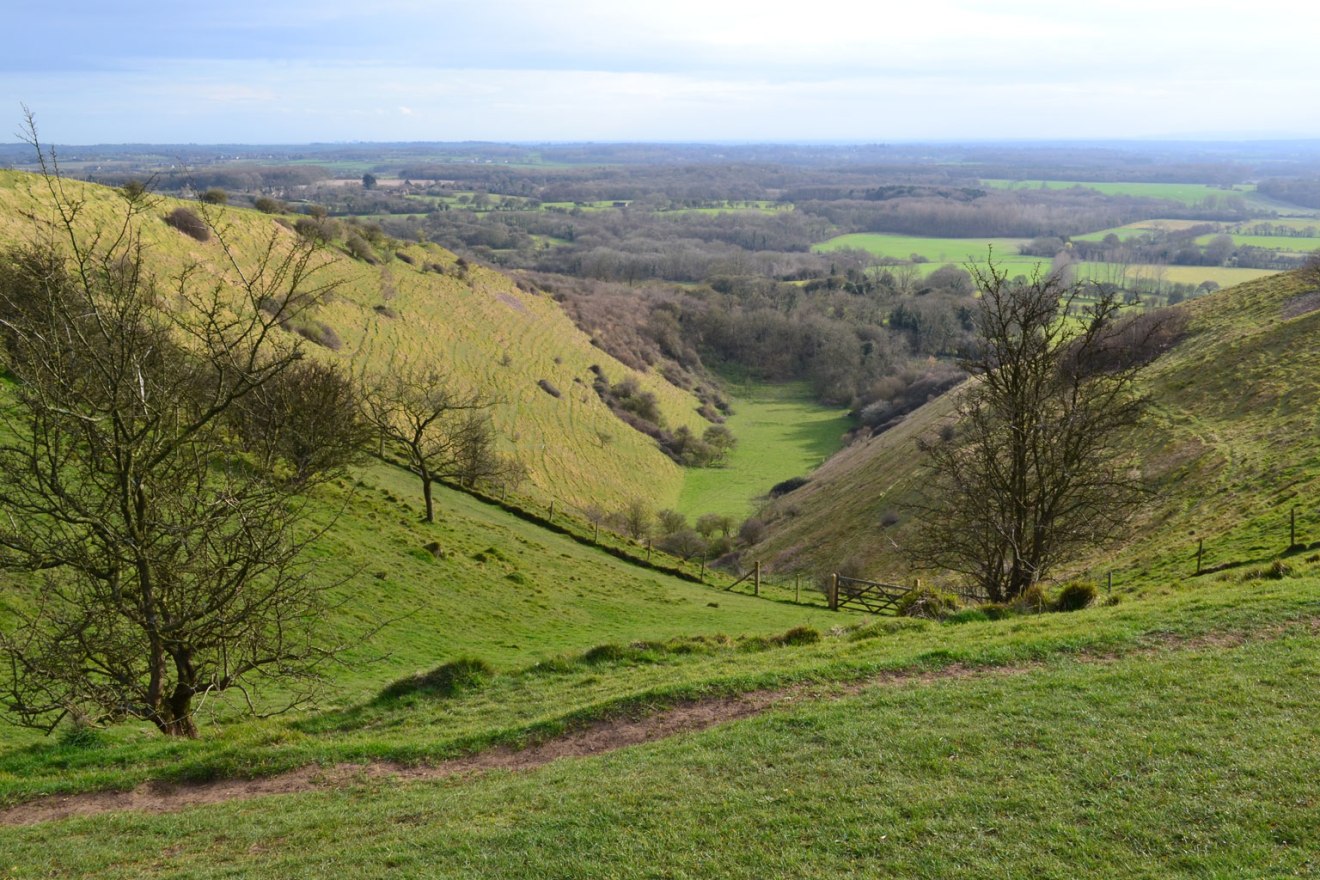 Deeper into Kent – Wye circular walk – Kent walks near London