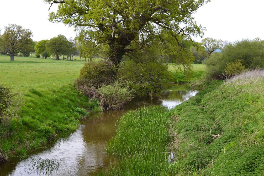 river-near-chidd – Kent walks near London
