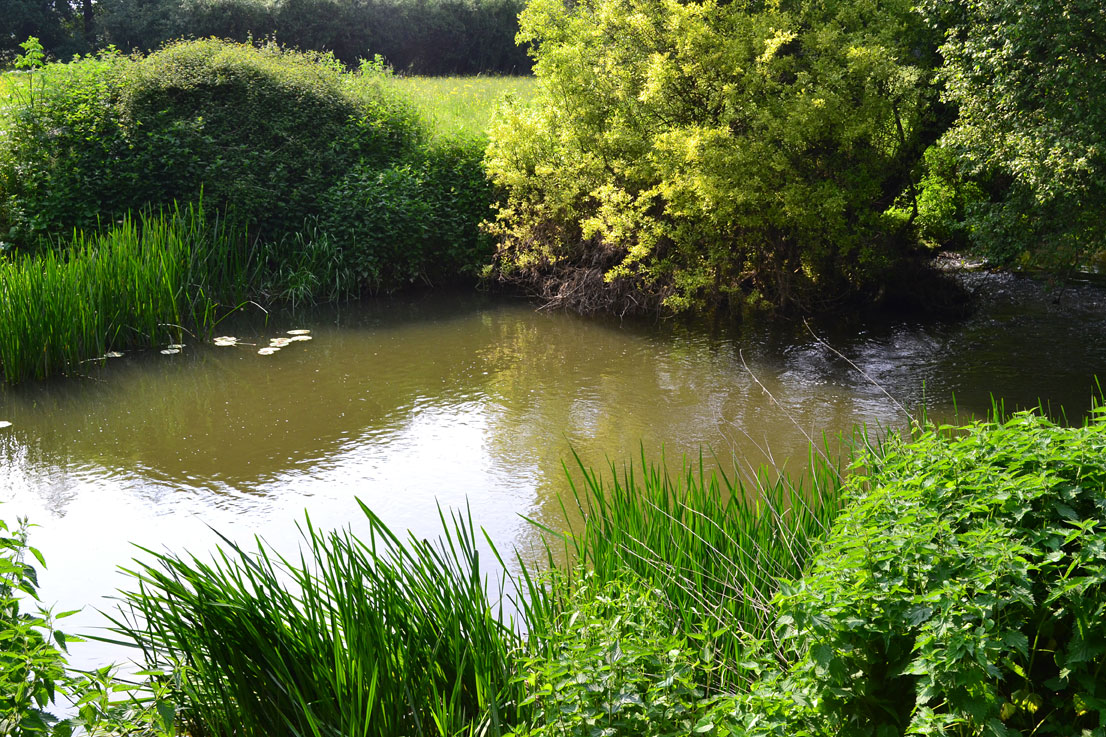 secluded-eden-emerge-from-woods – Kent walks near London