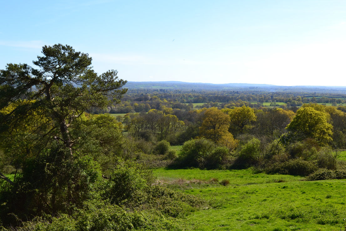 Walk 6: One Tree Hill circular nr Sevenoaks 6 miles – Kent walks near ...