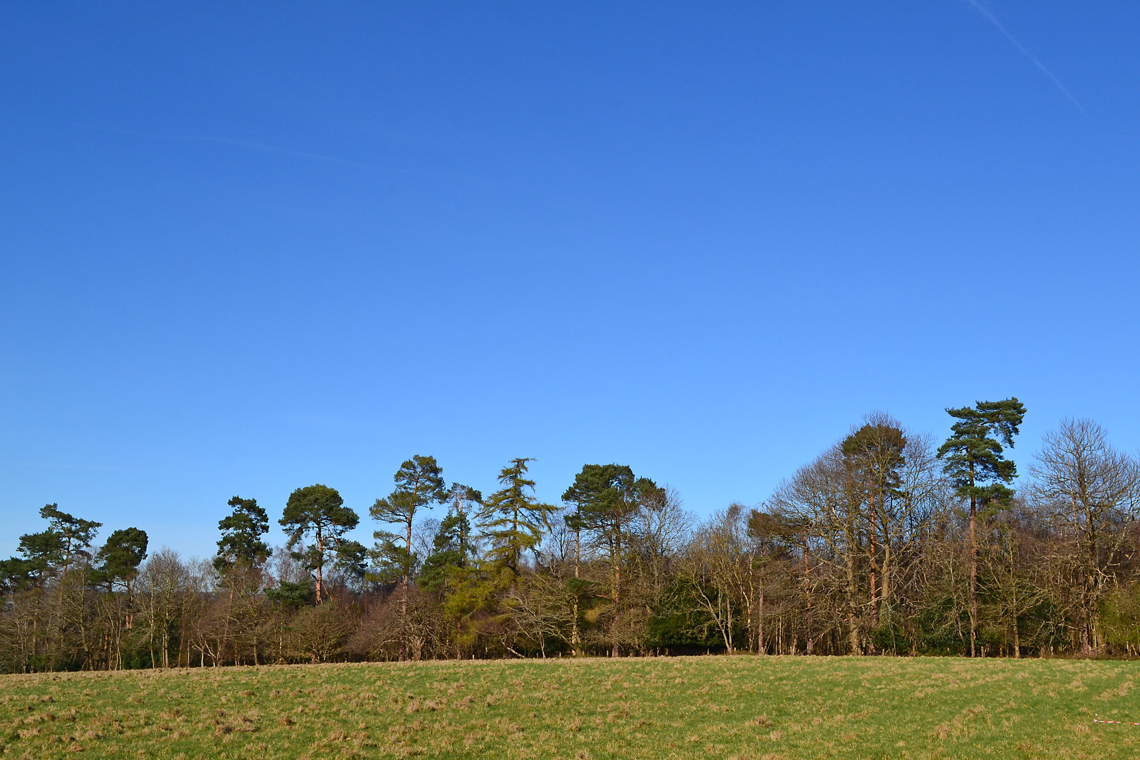 2017-03-25-16.25.03-view-after-stock-wood – Kent walks near London