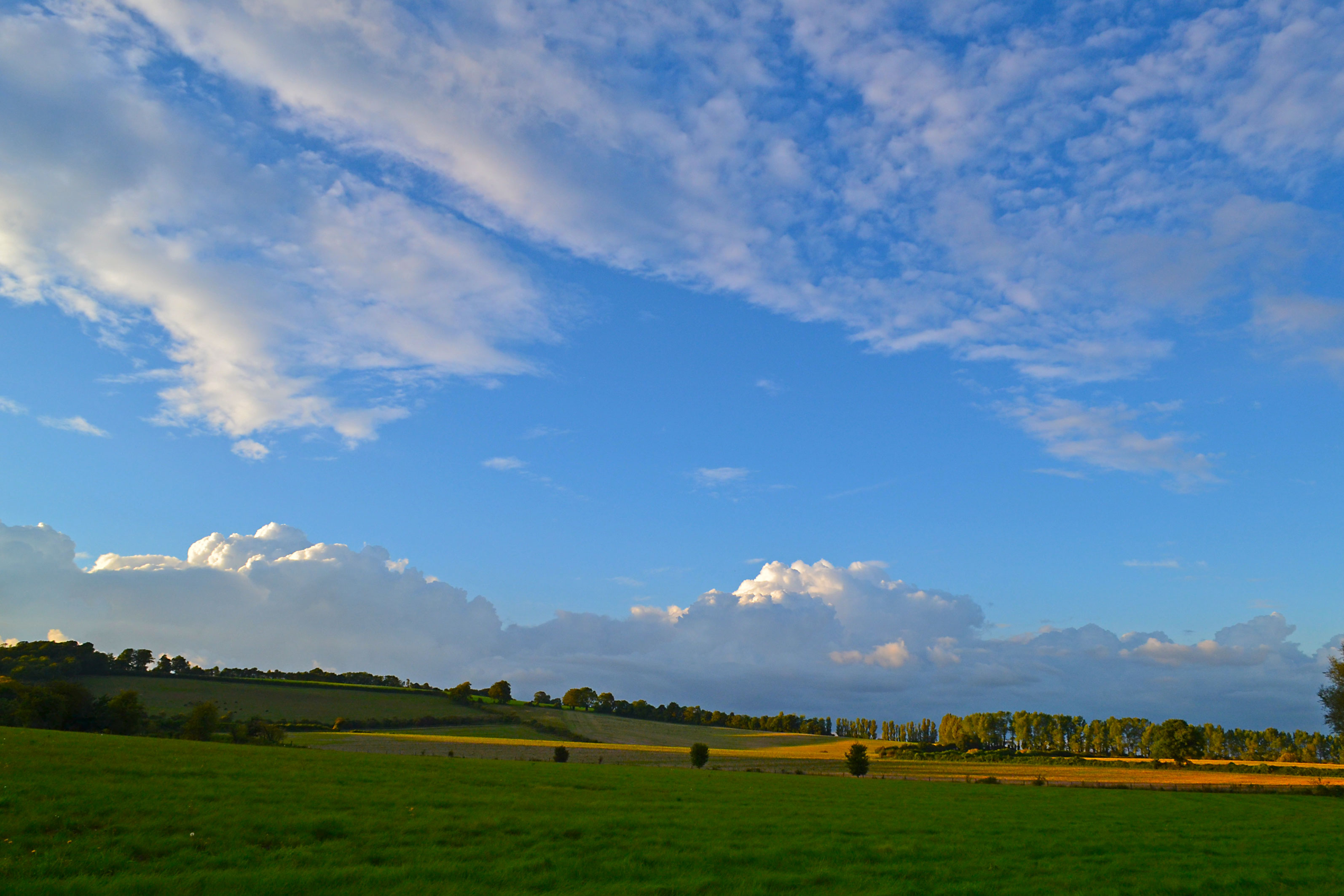 Walk 3: Shoreham station to Eynsford station 5 miles – Kent walks near ...