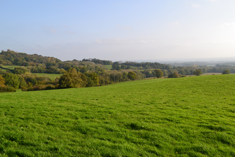 2017-10-15 15.35.47walks ide hill – Kent walks near London
