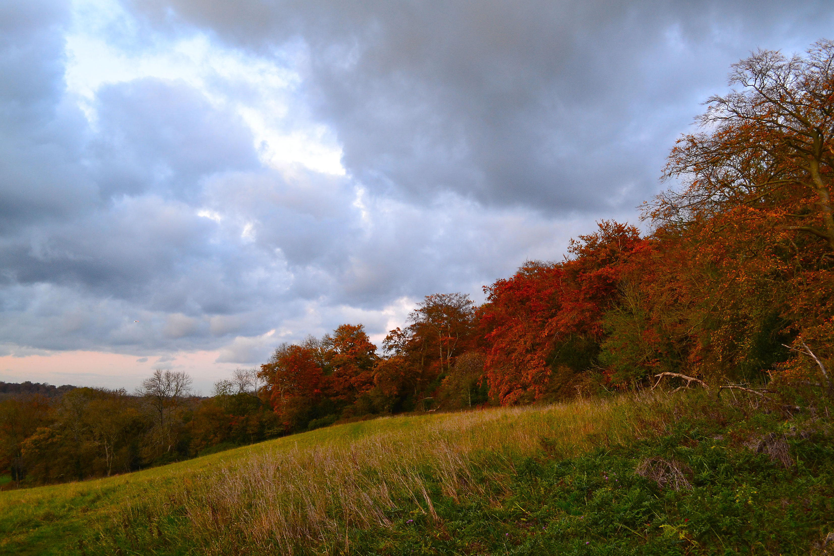Walk 1: Downe circular 2.6 miles – Kent walks near London
