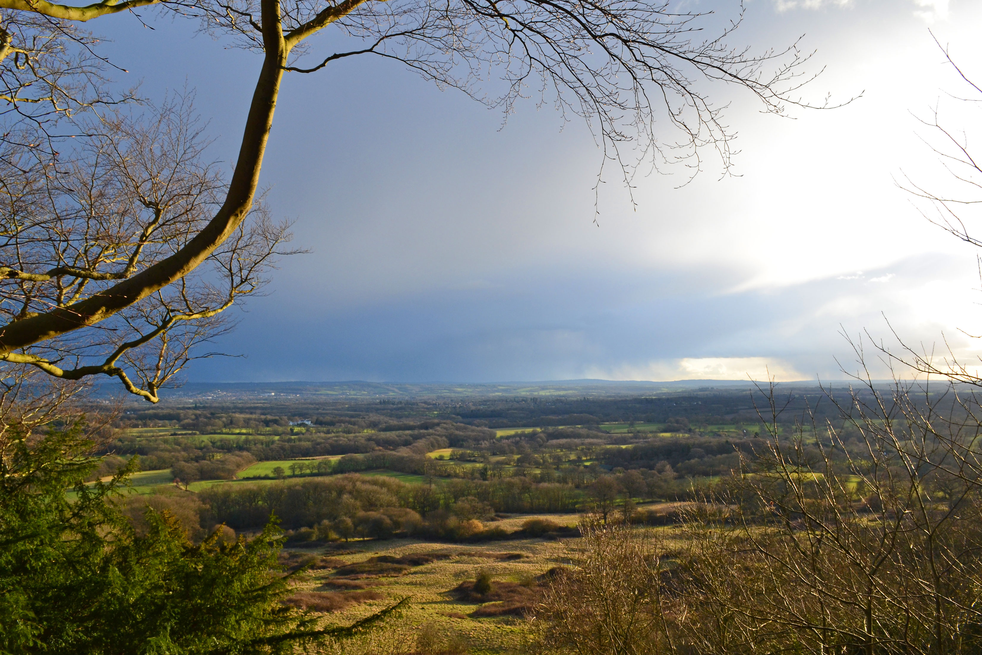 Walk 7: One Tree Hill figure-of-eight 5.5 miles – Kent walks near London