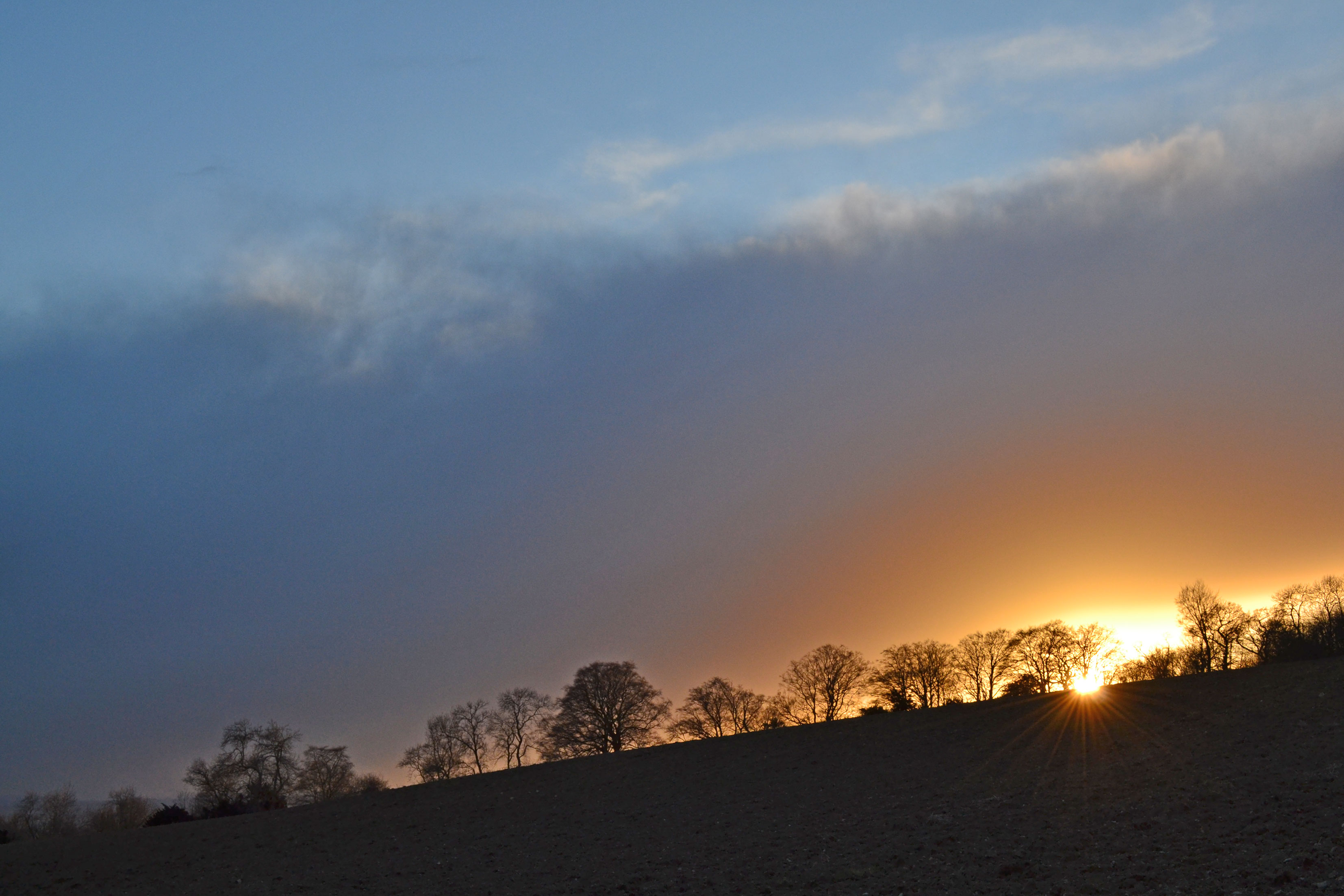 Walk 7: One Tree Hill figure-of-eight 5.5 miles – Kent walks near London