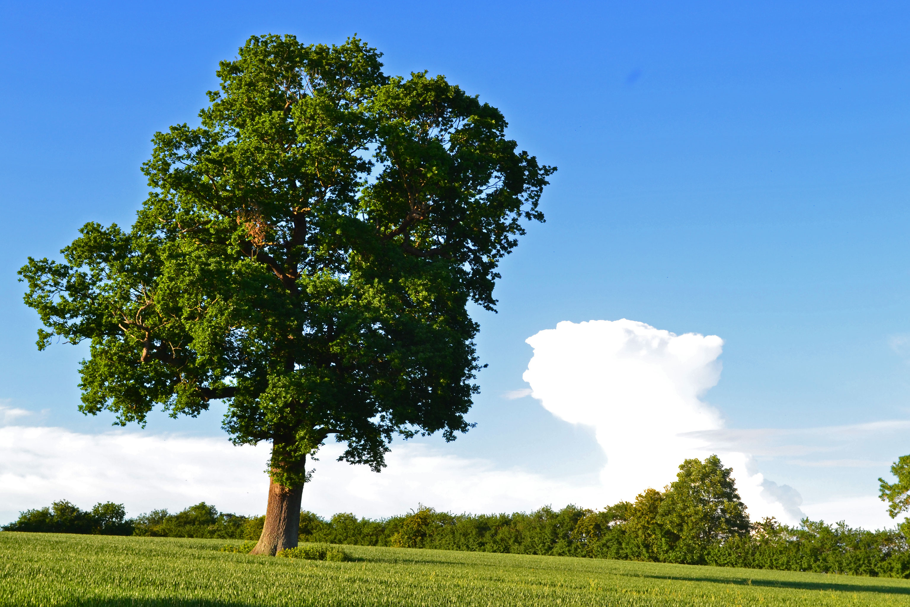 Chiddingstone again… with angry clouds – Kent walks near London