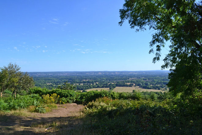 One Tree Hill figure-of-eight walk, in the light of August – Kent walks ...