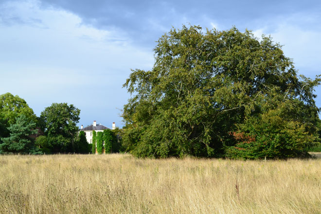 Darwin’s fields and Downe – Kent walks near London