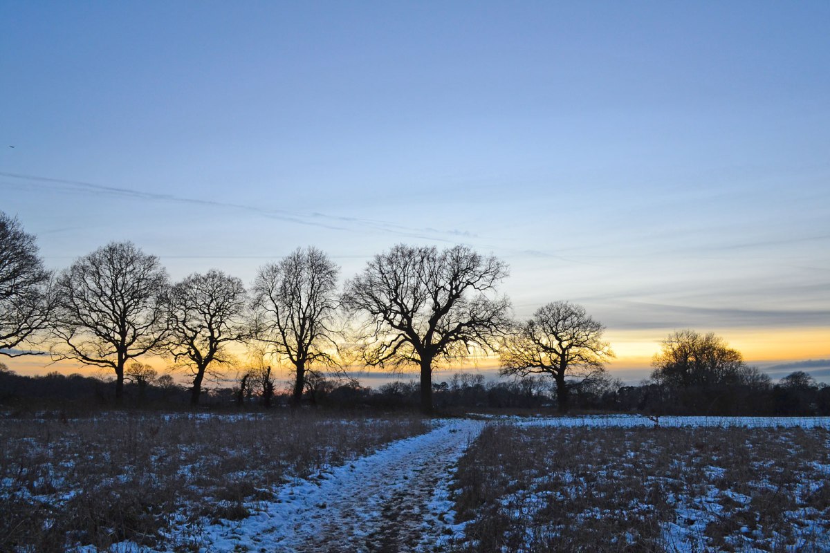 Walk 5: Otford circular via Shoreham and Romney Street – 6.5 miles ...