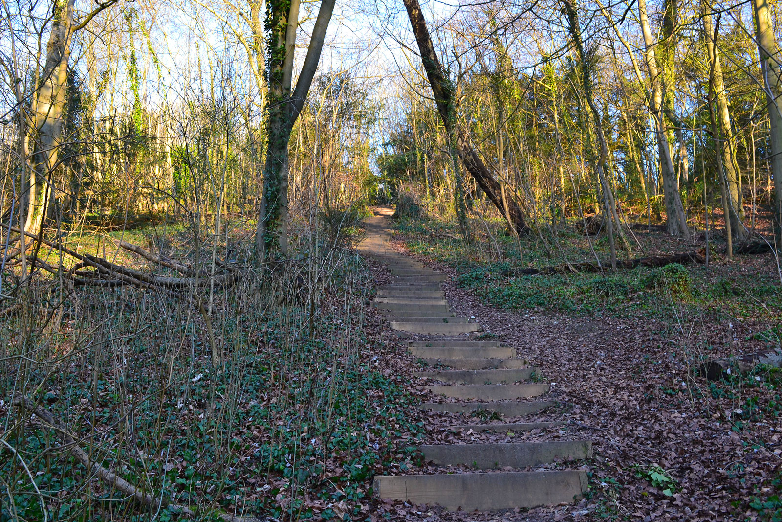 Walk 19: Shoreham and Fackenden Down – 4 miles – Kent walks near London
