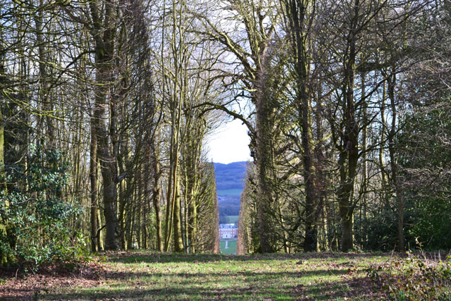 Knockholt Pound on woods – Kent walks near London