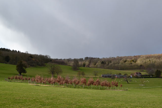 Knockholt Pound on woods – Kent walks near London