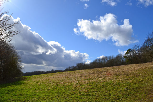 Knockholt Pound on woods – Kent walks near London