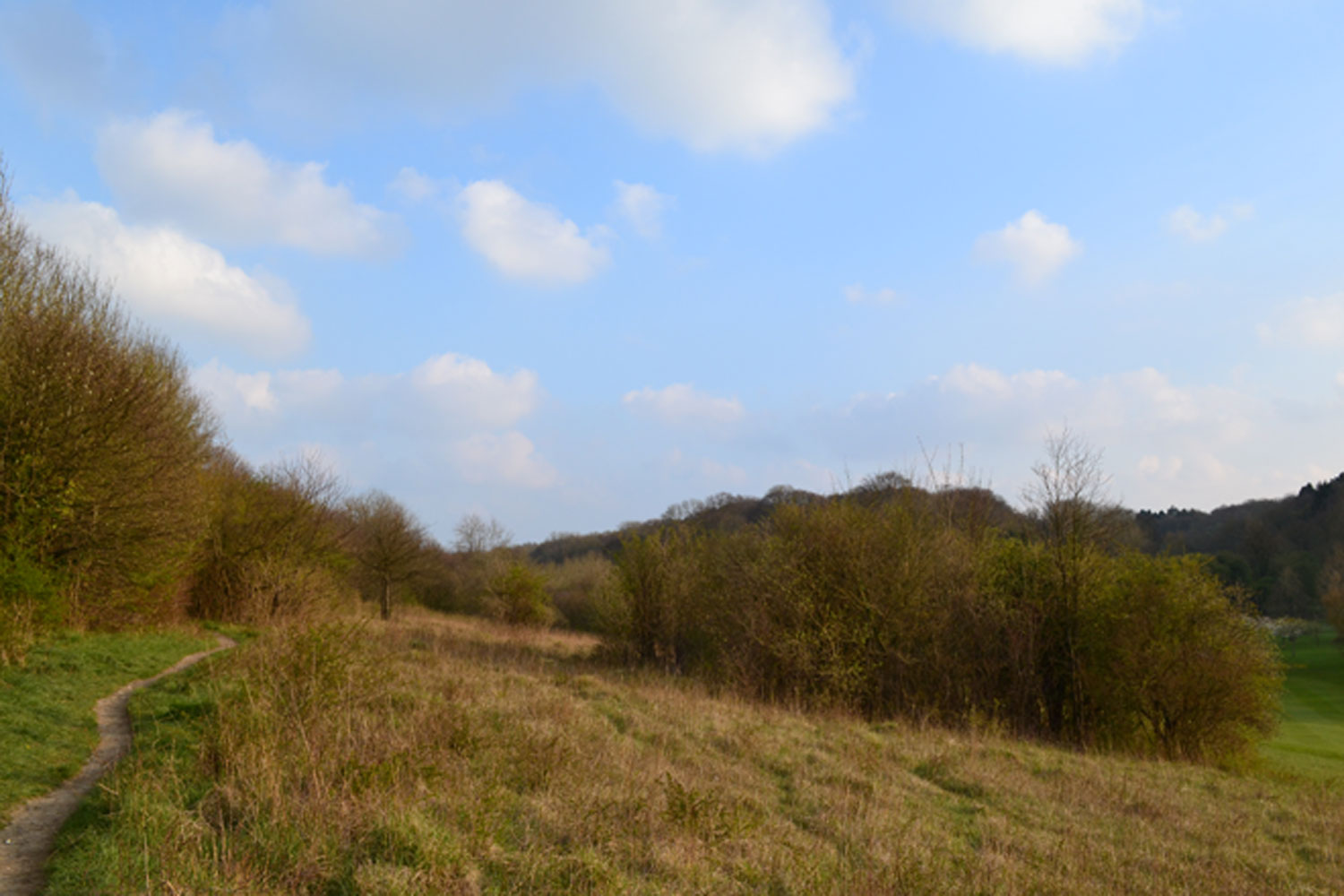 Walk 20: Downe circular mk2 4 miles – Kent walks near London