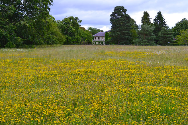 Downe Downe deeper Downe – Kent walks near London