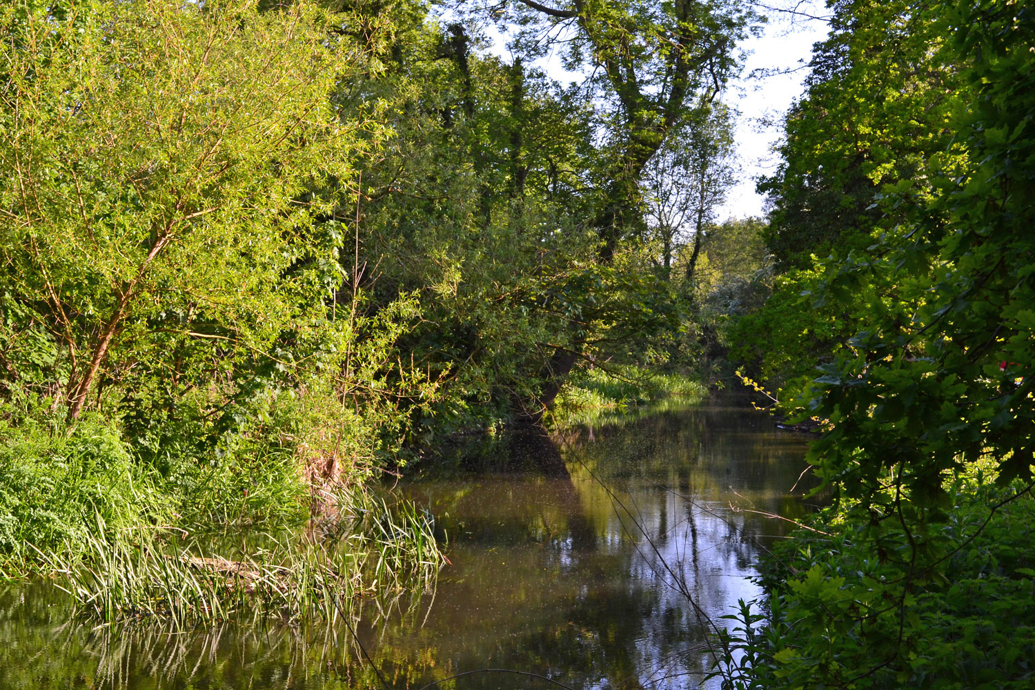 Lullingstone golf course closes – Kent walks near London