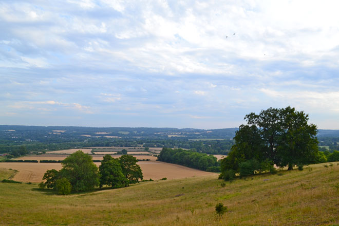 Give Chevening a chance – Kent walks near London
