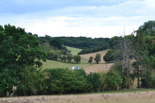 Something to chew on in Cudham – Kent walks near London