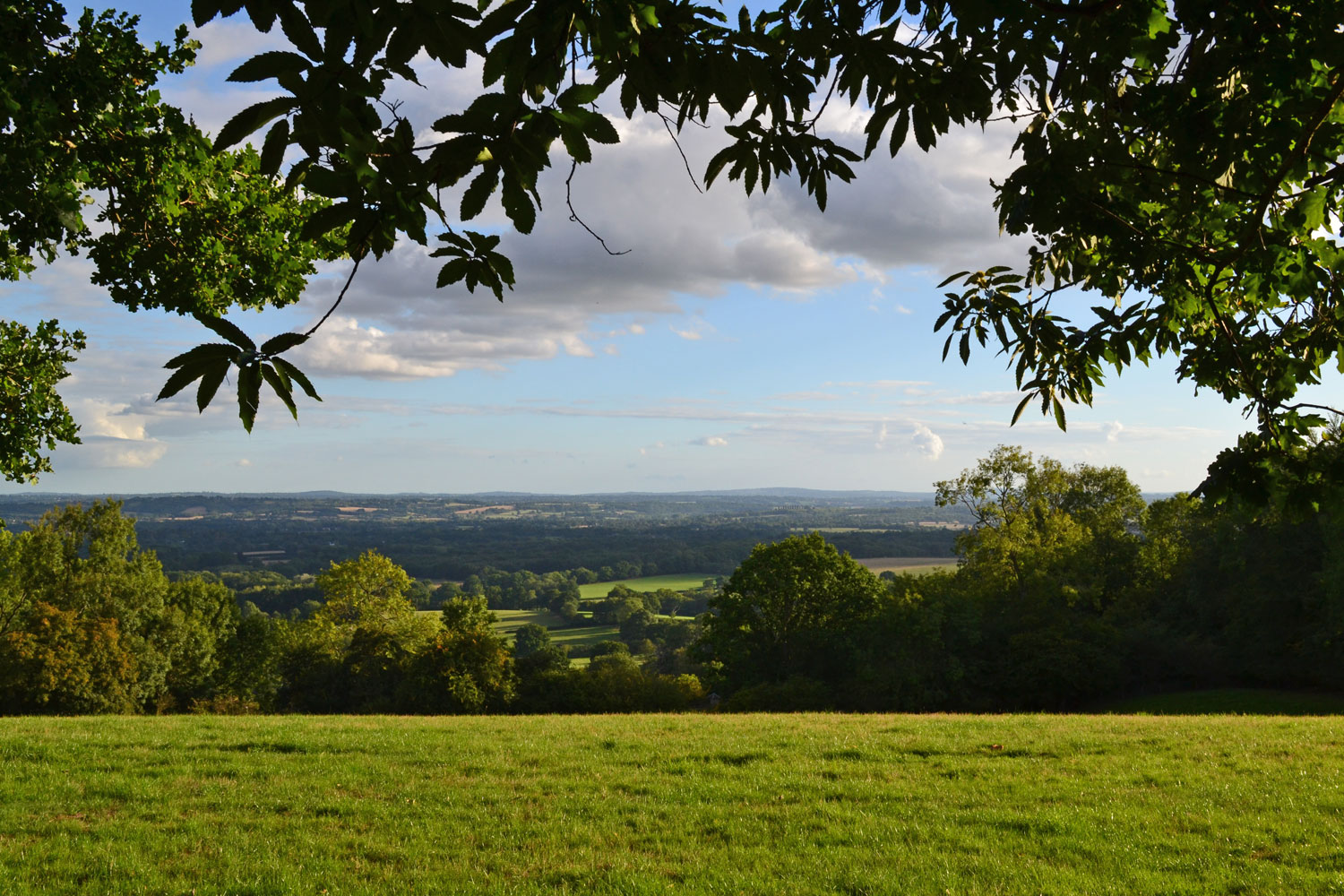 web-1500-view-top-of-sunken-path-2020-09-06-16.41.49 – Kent walks near ...