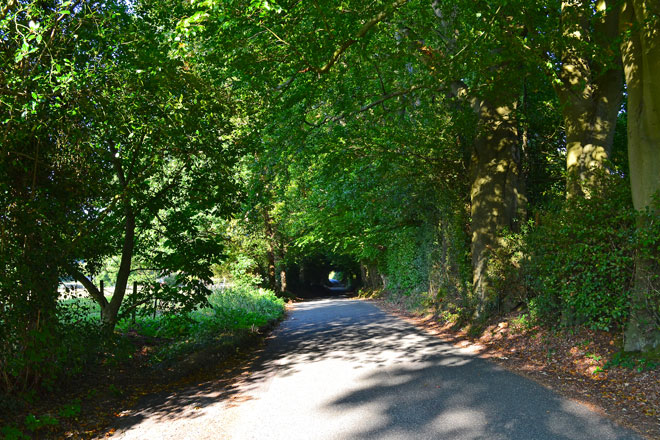 Three classic cycle routes around Downe and Cudham – Kent walks near London