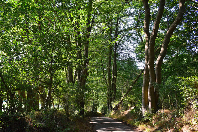 Three classic cycle routes around Downe and Cudham – Kent walks near London