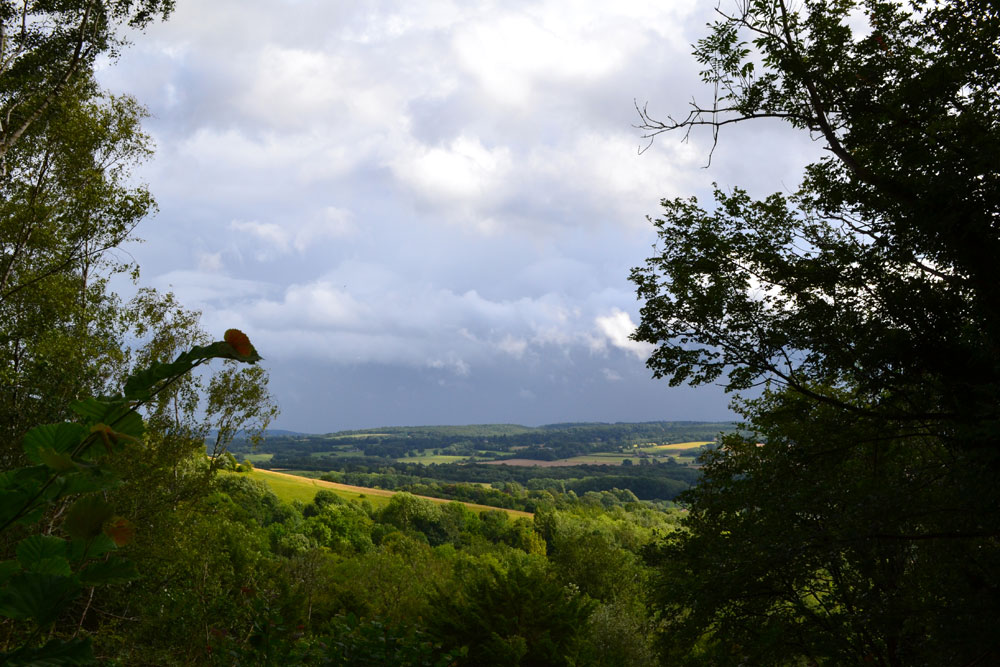 Walk 27: Otford station to Kemsing station on the North Downs Way – 6.5 ...