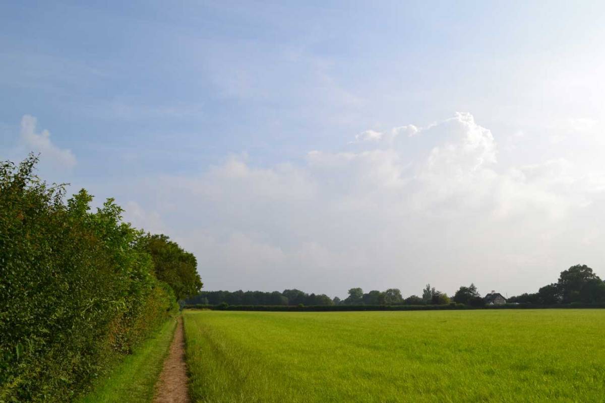 All of a flutter – Kent walks near London