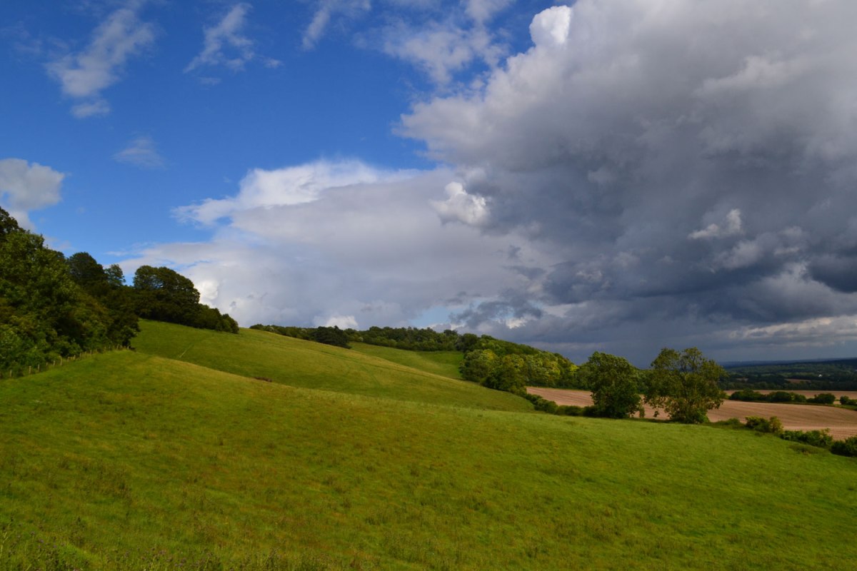 Superb North Downs railway walk – Kent walks near London
