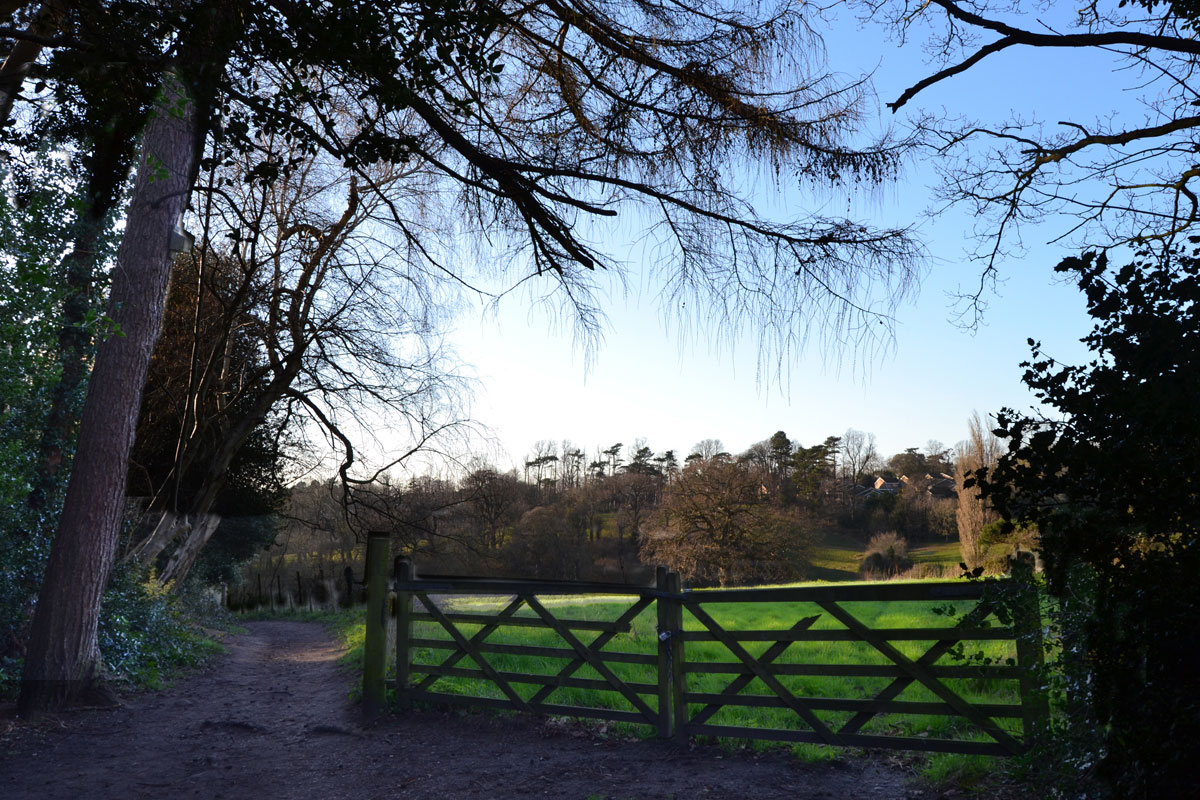 woodland walks – Kent walks near London