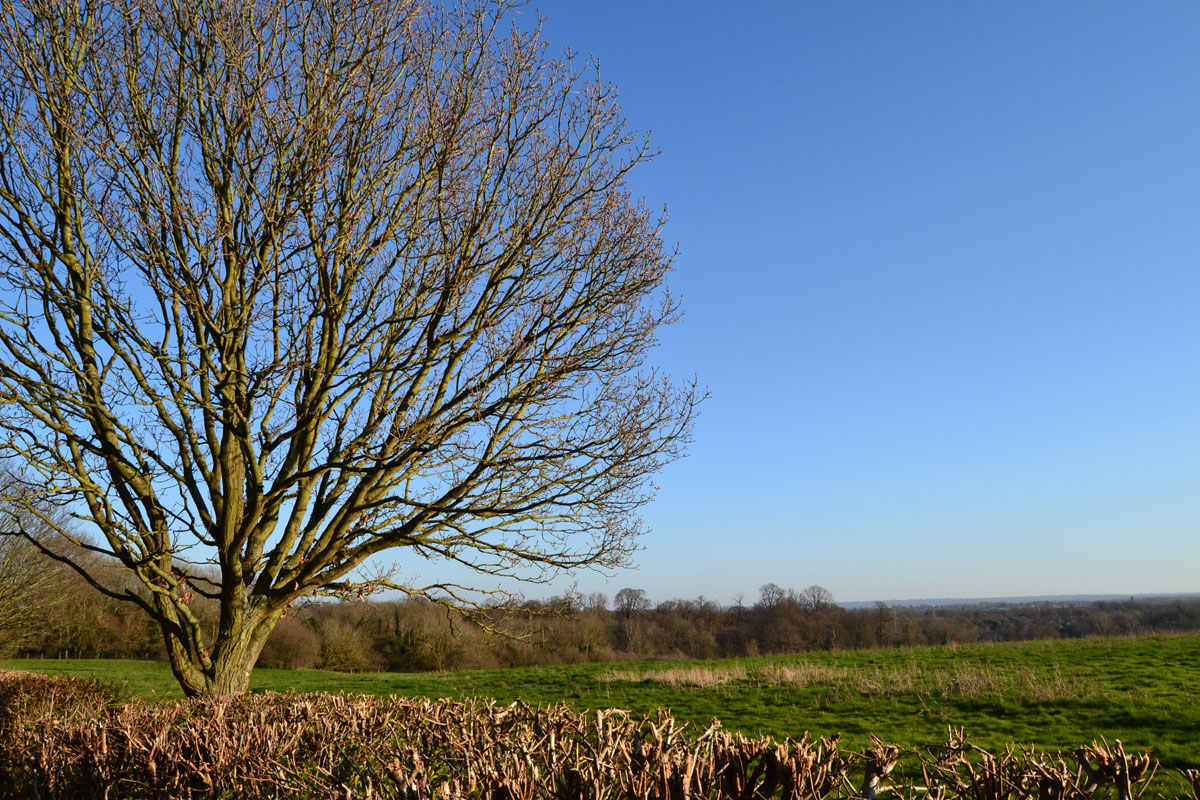 A suburban saunter around Petts Wood – Kent walks near London