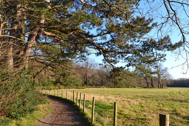woodland walks – Kent walks near London