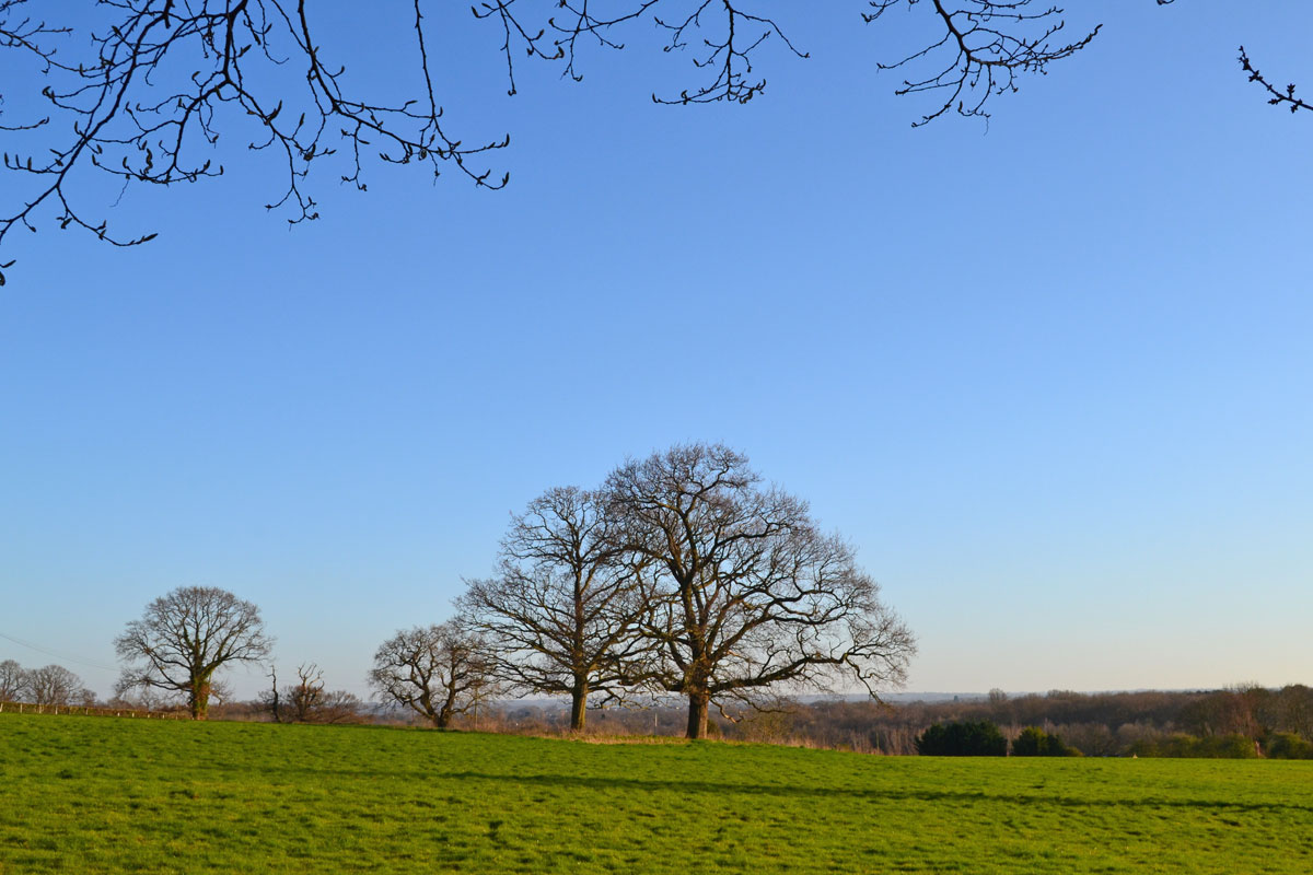 A suburban saunter around Petts Wood – Kent walks near London