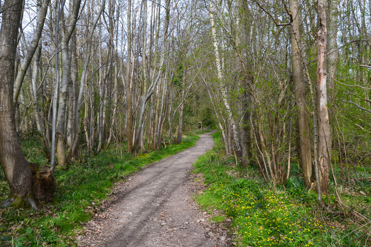 Cudham circular – Kent walks near London