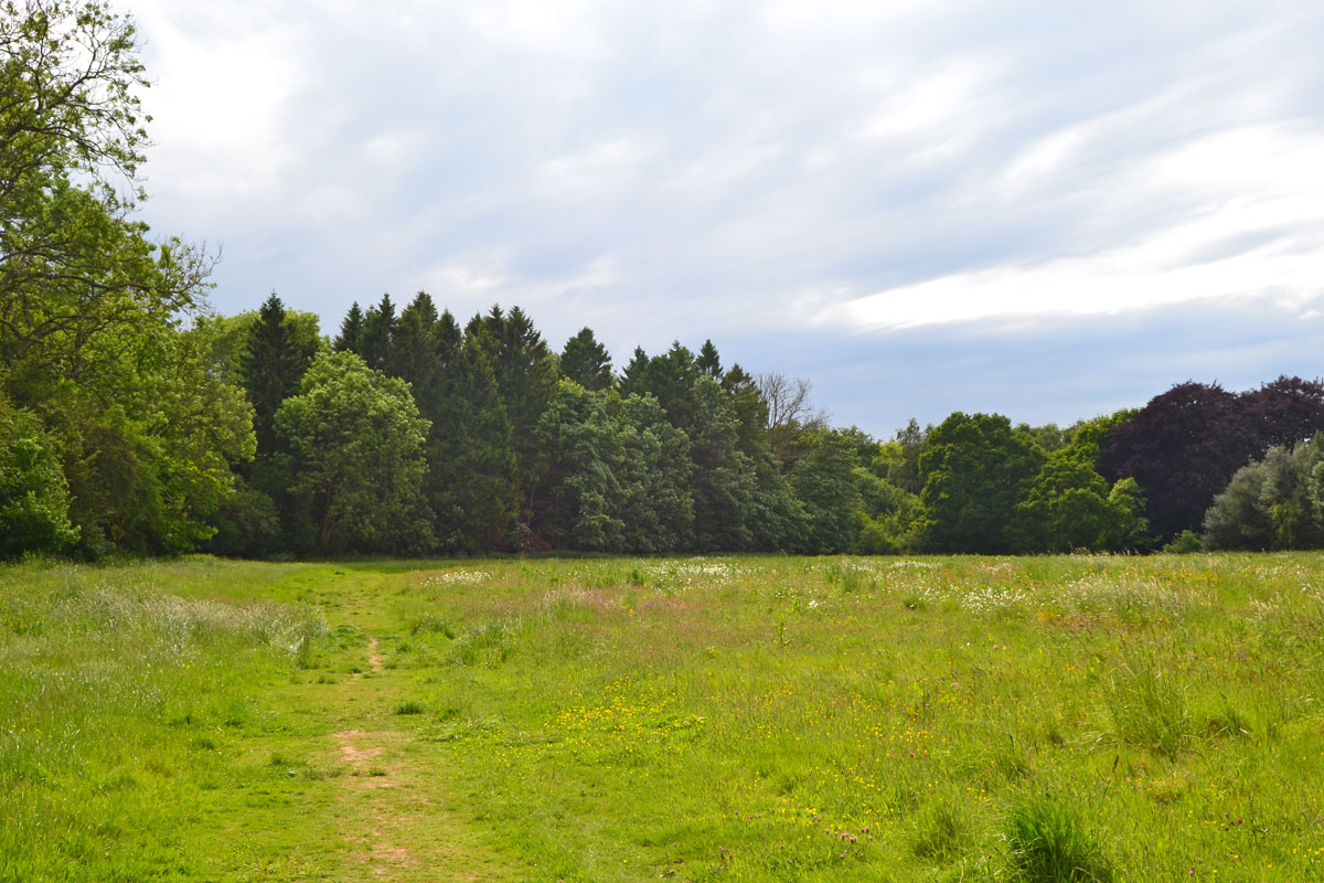 Knockholt – Kent walks near London