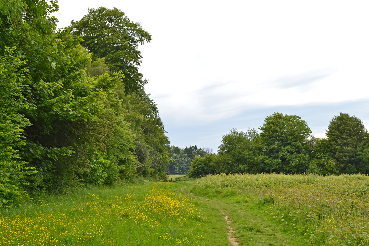 Knockholt – Kent walks near London