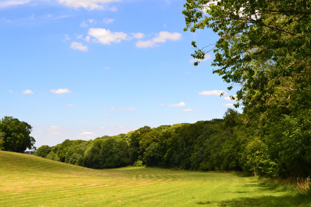 Kent walks near London – A hopefully useful guide to walks within reach ...