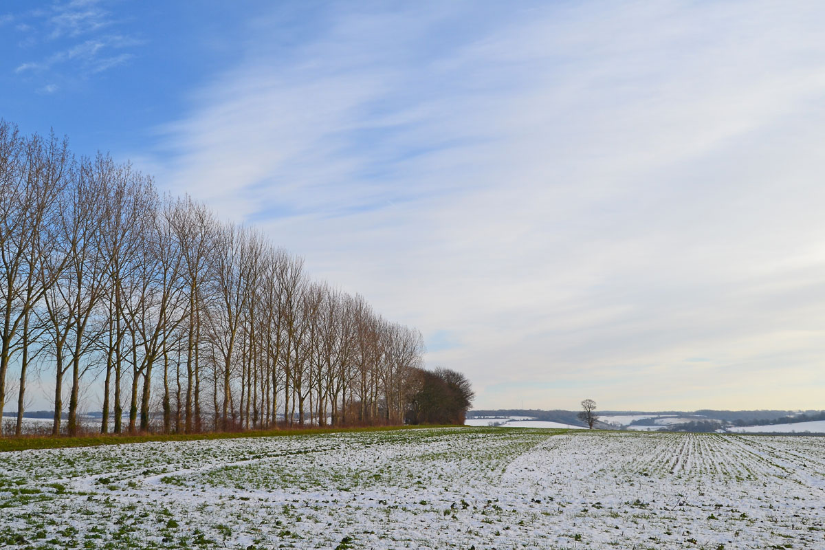 Chilled at Lullingstone – Kent walks near London