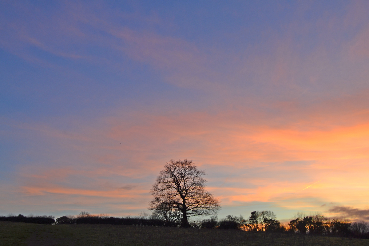 Delightful dusk on the Greensand Ridge – Kent walks near London