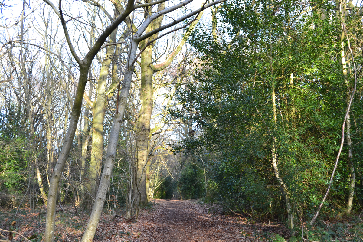 Cudham walk advice – Kent walks near London