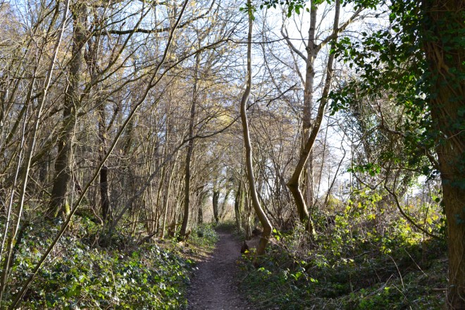 Walk 25: Cudham chalk paths – 4 miles – Kent walks near London