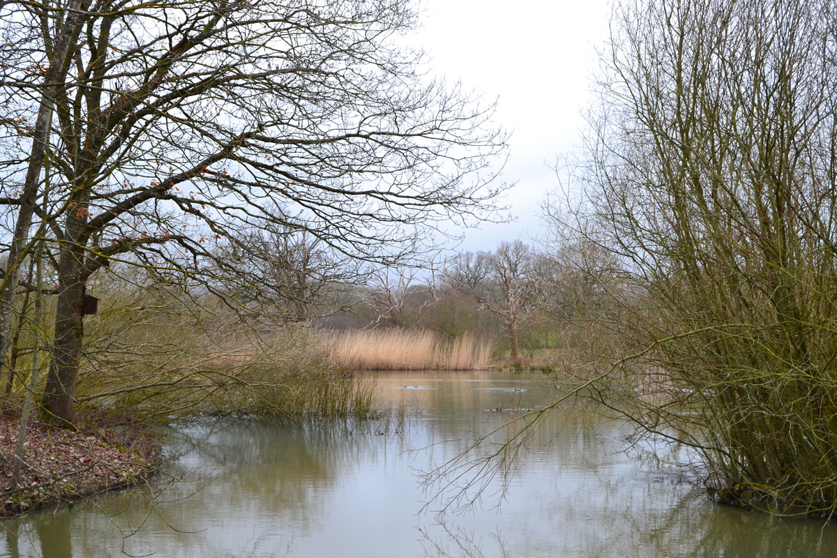 In the depths of springter – Kent walks near London