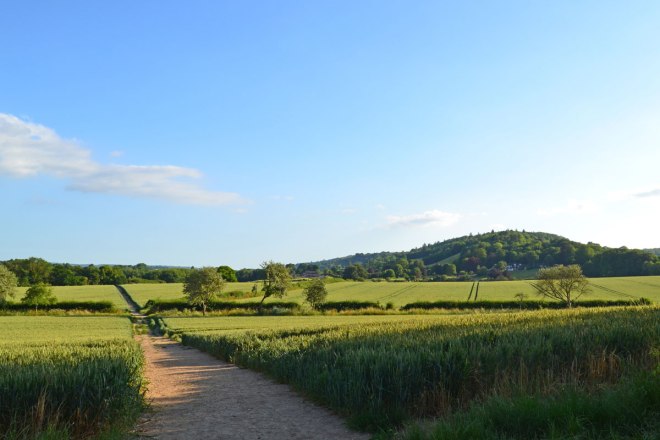 Balmy evening saunters – Kent walks near London