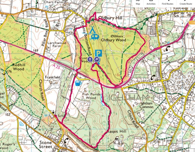 The woody wonder of ancient Oldbury: a shorter route – Kent walks near ...