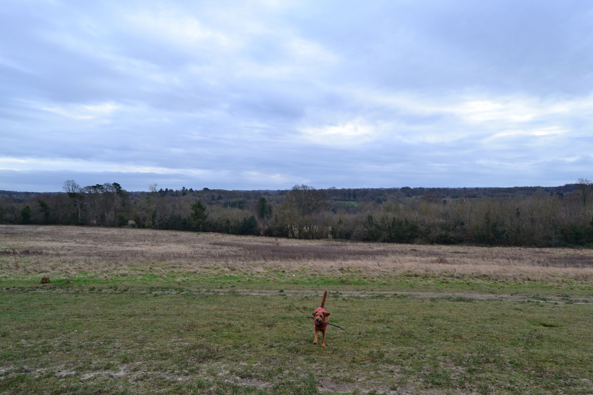 Farnborough village and High Elms circular – Kent walks near London