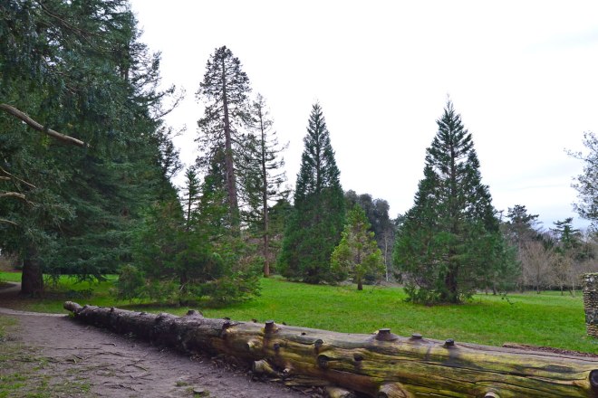 Walk 30: Farnborough village and High Elms circular – 4.1 miles – Kent ...