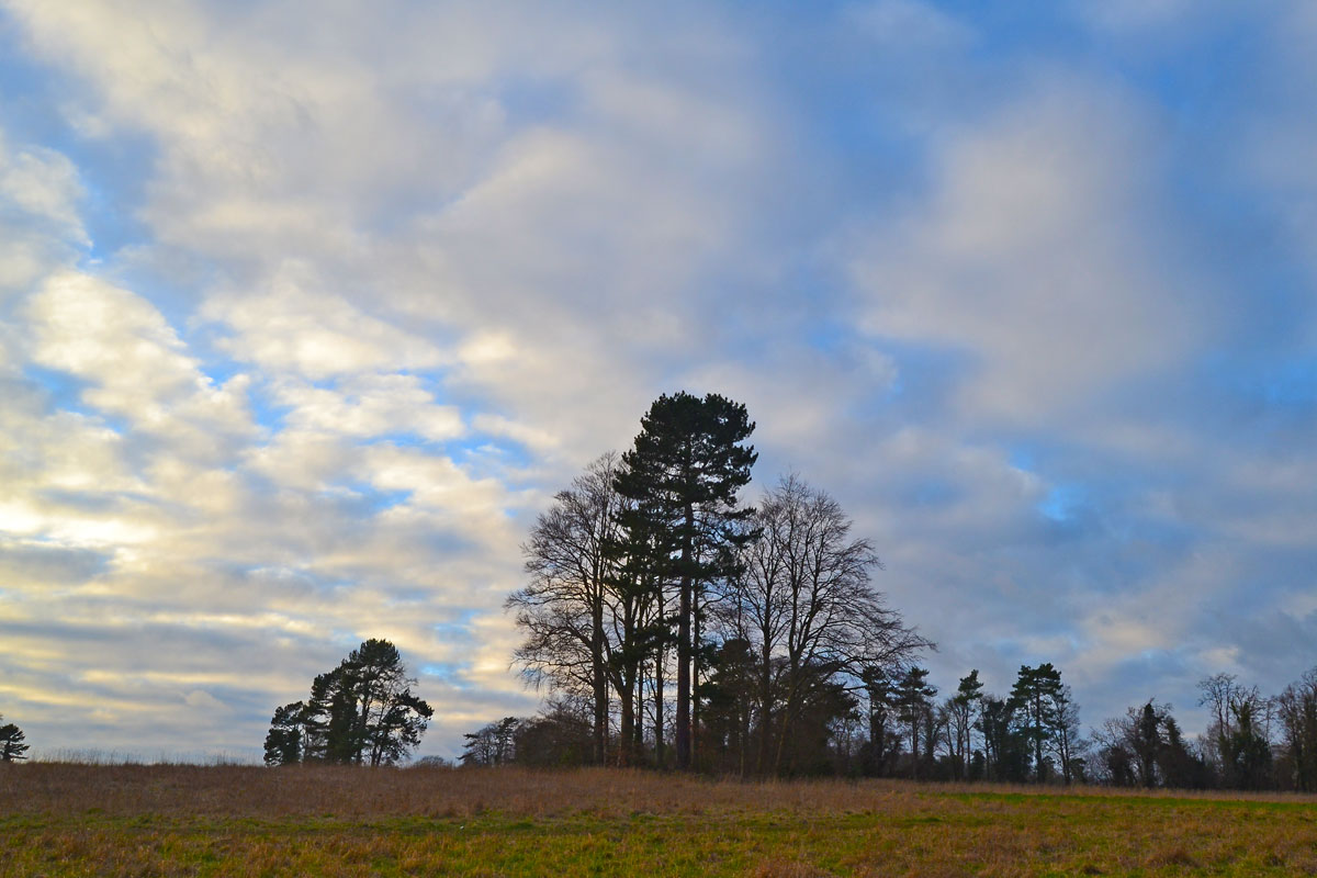 Farnborough village and High Elms circular – Kent walks near London