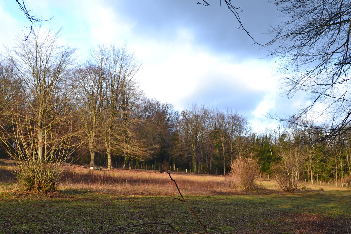 Farnborough village and High Elms circular – Kent walks near London