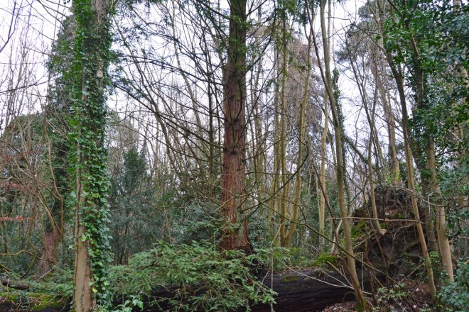 Walk 30: Farnborough village and High Elms circular – 4.1 miles – Kent ...