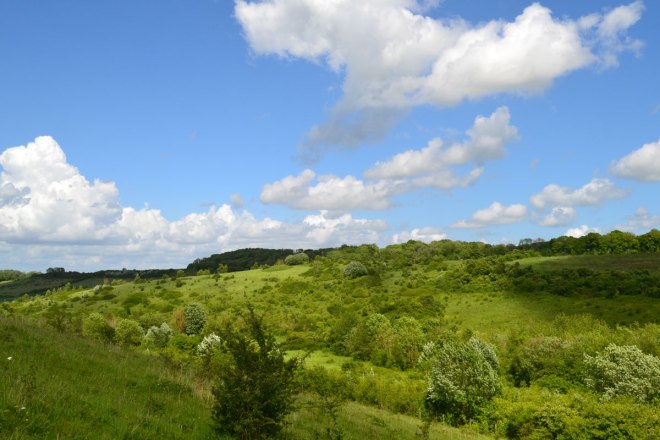 Kent walks near London – A hopefully useful guide to walks within reach ...